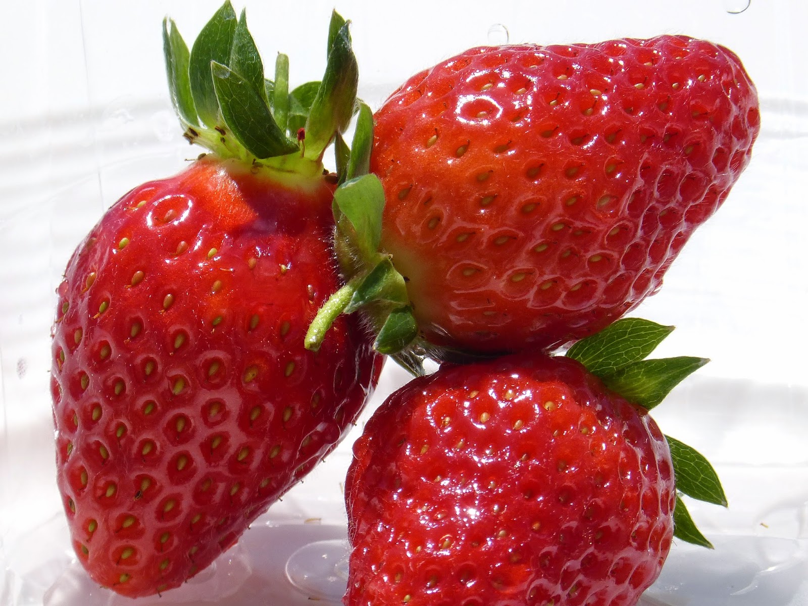 Au fil de l'étégami: fruits rouges