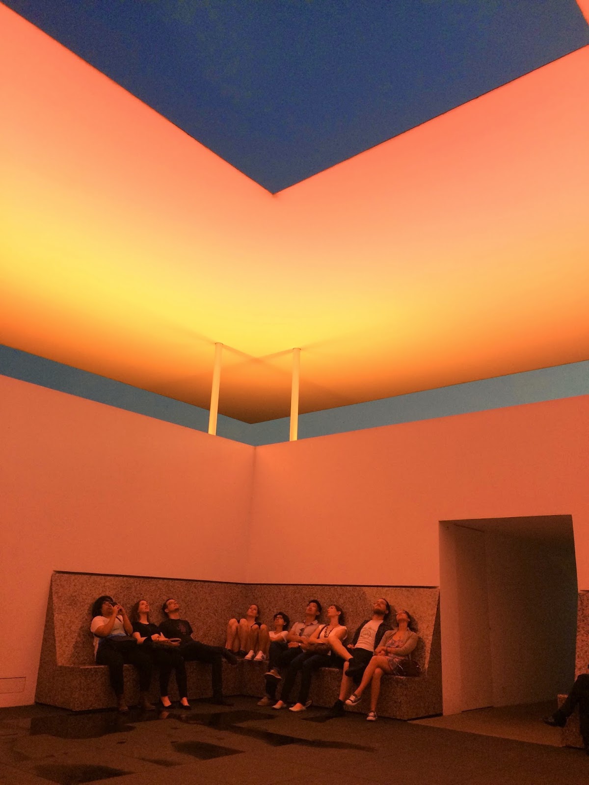 The Bayou Botanist: Color Theory: James Turrell