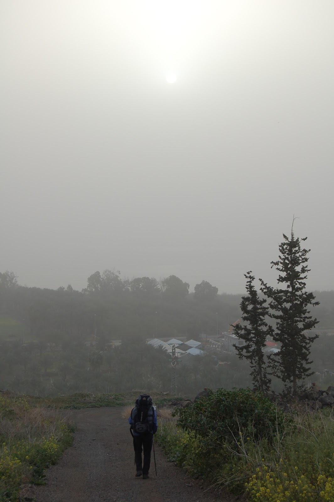 Idziemy dalej? Pranie, góra Tabor i ośli koncert ... Jak przejść ...