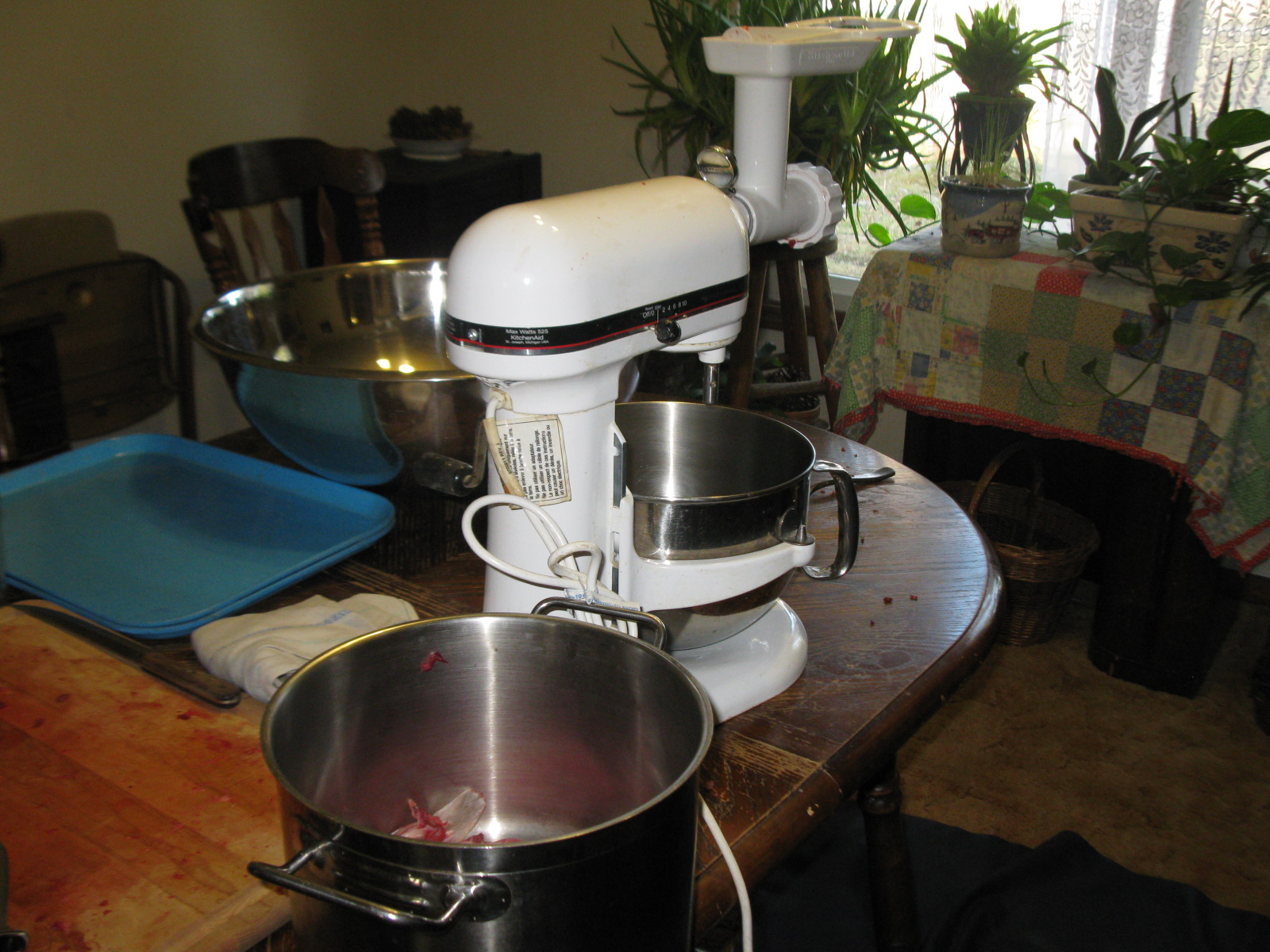 Simply Homemaking: 48 # of ground venison!
