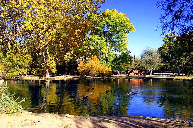 One Shot Leads to Another: Fall Color, St. David, AZ