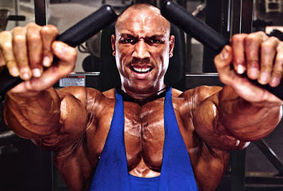 the beauty of male muscle: Sean