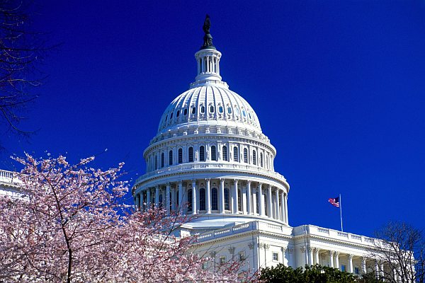 English is great!: Questions about the American capital