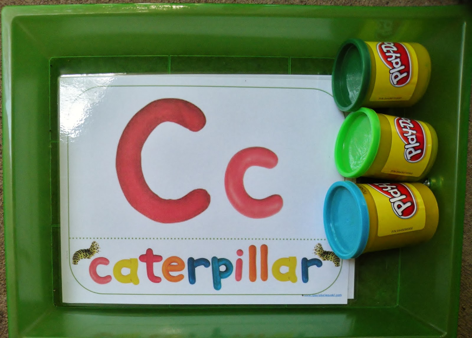 The Fantastic Five: Animal ABCs: Letter C