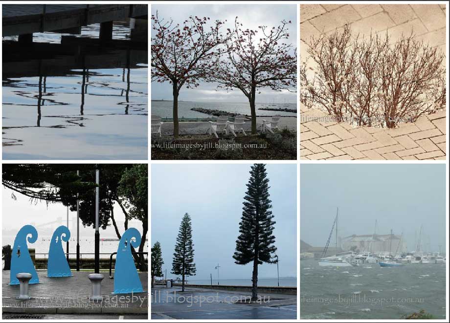 Life Images by Jill: Wet weather street photography