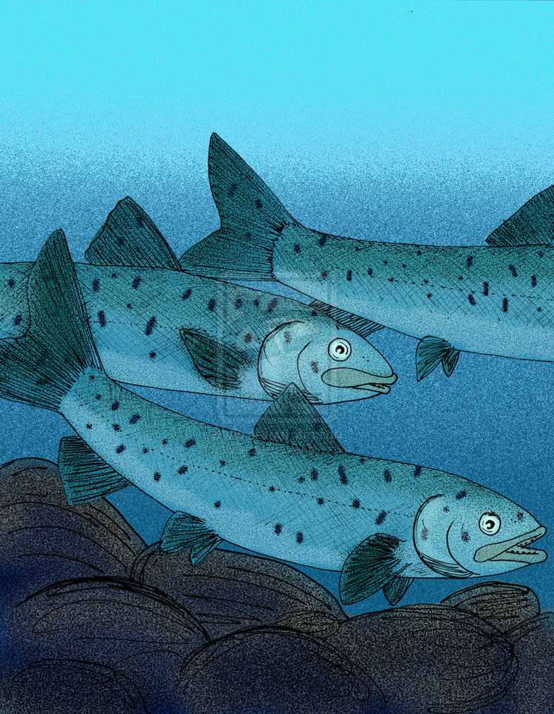 Los animales en la prehistoria: junio 2013