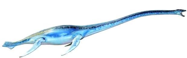 A verdadeira história do Monstro do Lago Ness - Verdadeira História