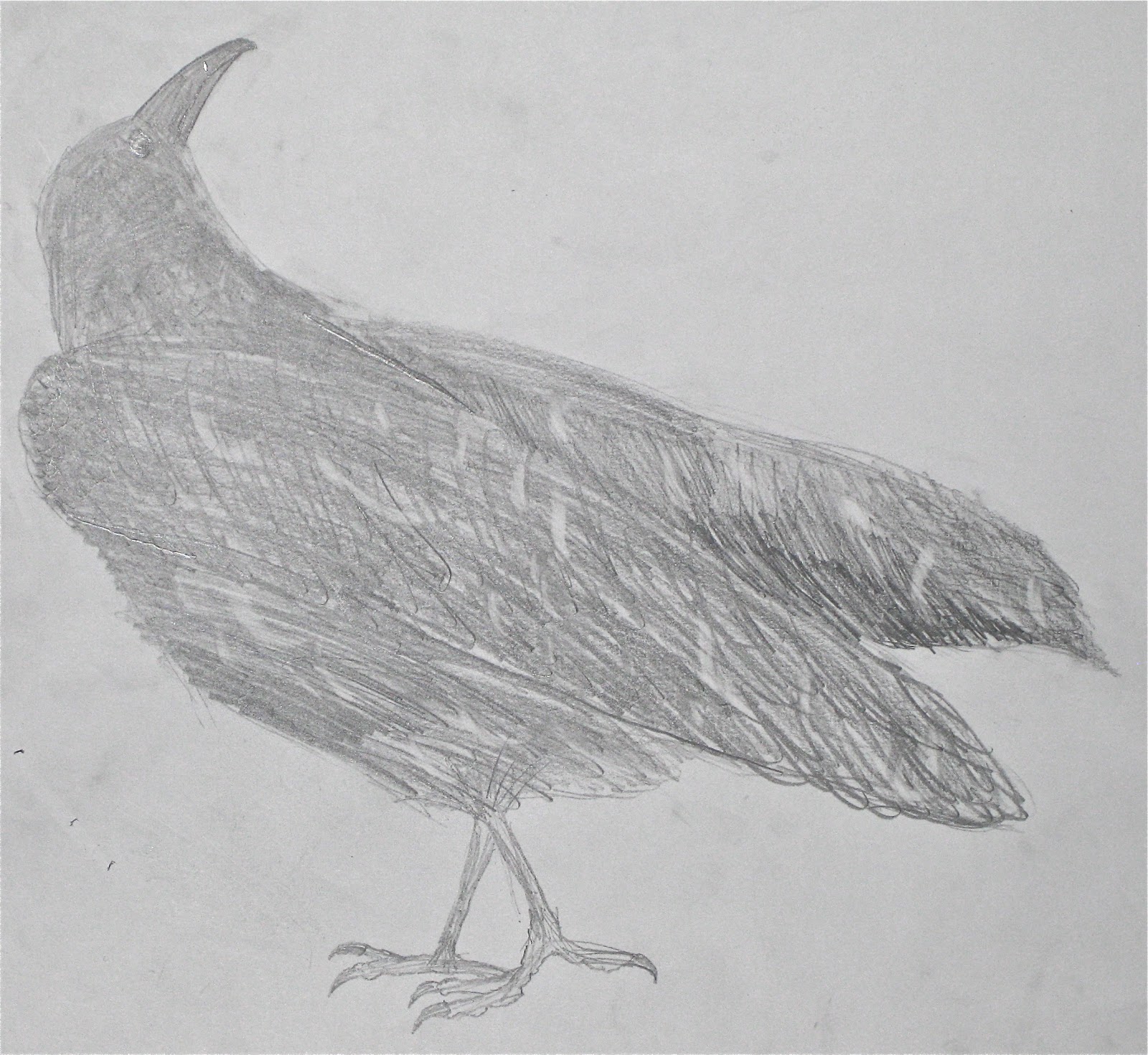 Susan's Art Club: "Rooks"