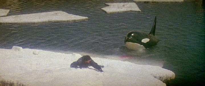 A Penny in the Well: Penny Thoughts ‘14—Orca (1977)