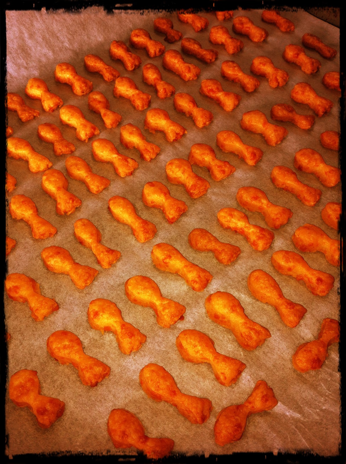 But that’s not a real fish – that’s a goldfish cracker…! | kanelogkrudtugle