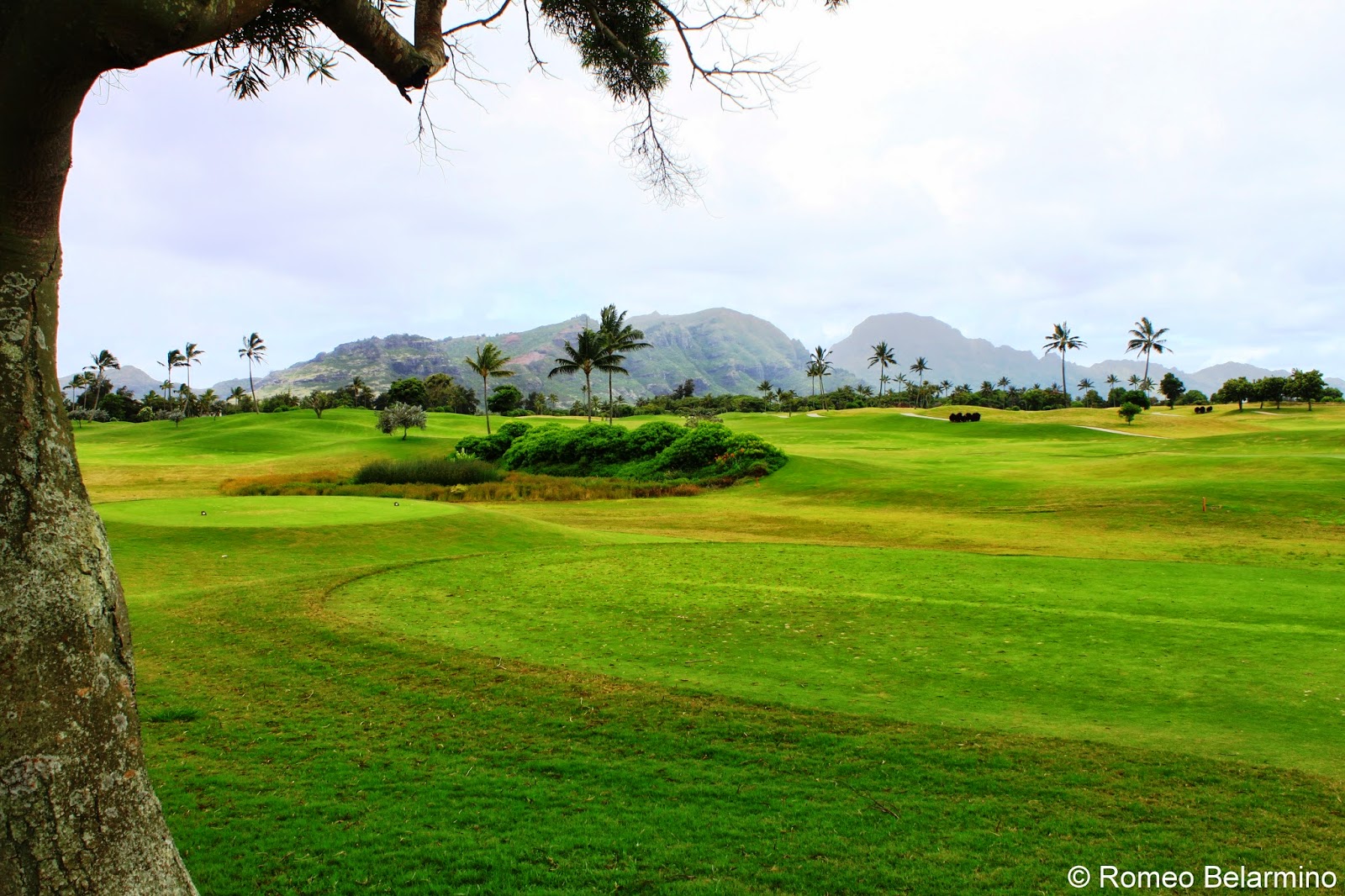 Set a Course for Kauai Lagoons Golf Club | Travel the World