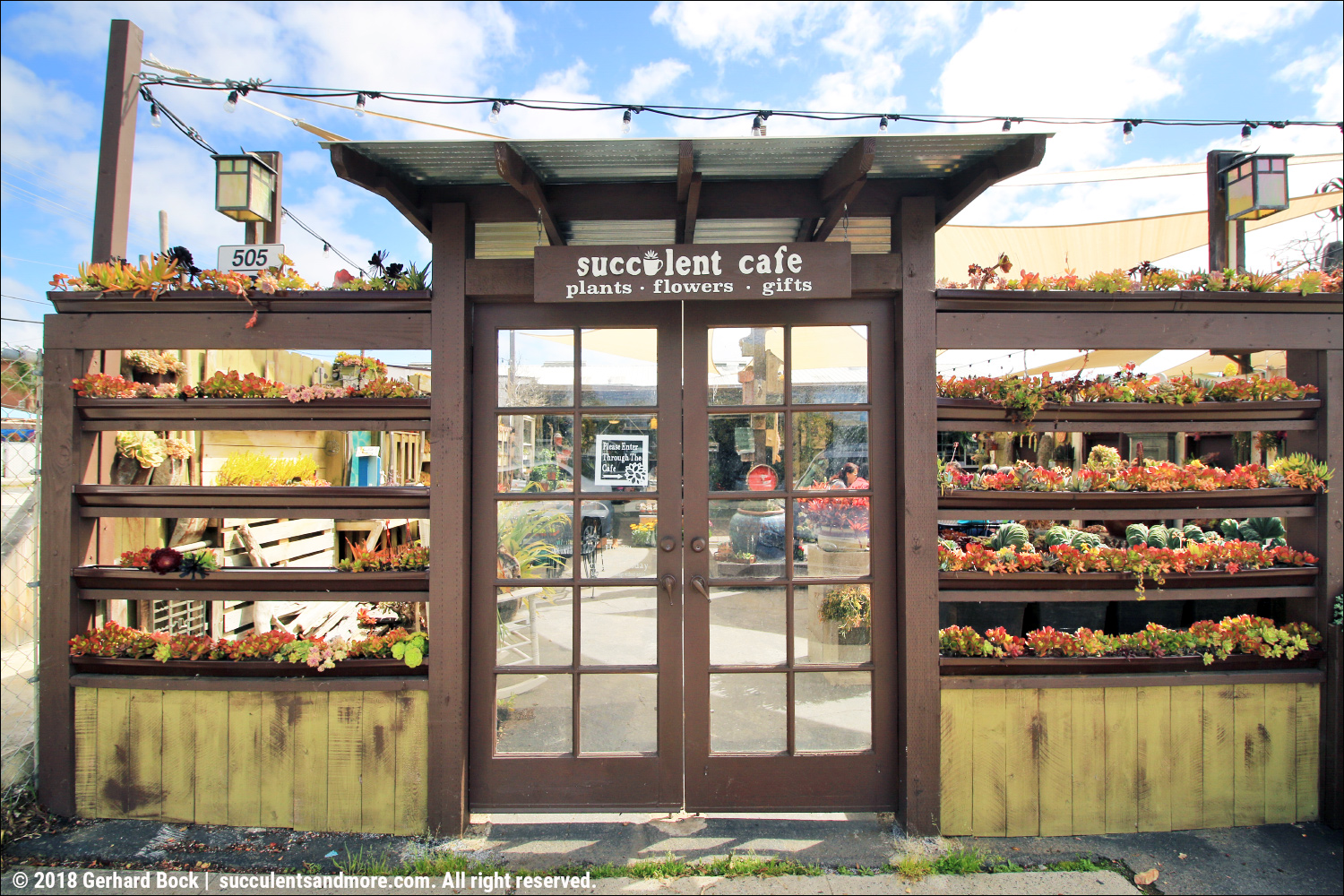 Sip and shop at the Succulent Café