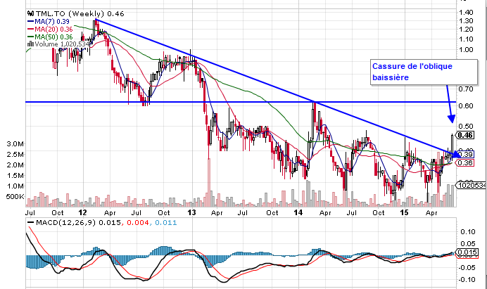 Small Caps Trading: Treasury Metals Inc (TML.TO) : Une minière aurifère ...