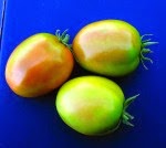 Safra de bri: EL TOMATE Y SUS VARIEDADES