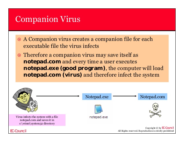 LET'S TALK ABOUT - TYPES OF COMPUTER VIRUSES