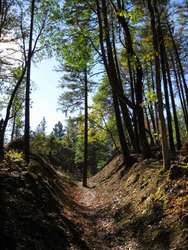 Hiking Sasquatch Country: 13 Gin Lin Mining Trail