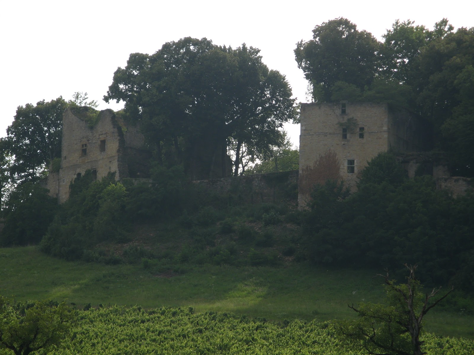 MES VIEUX CHATEAUX: Le Chateau d'Arlay