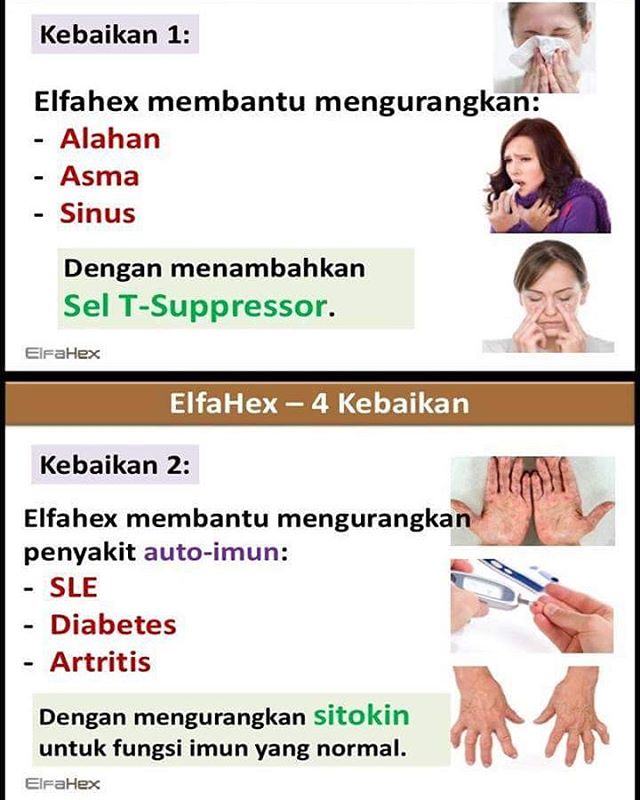 SmaLL ShOpe: ElfaHex