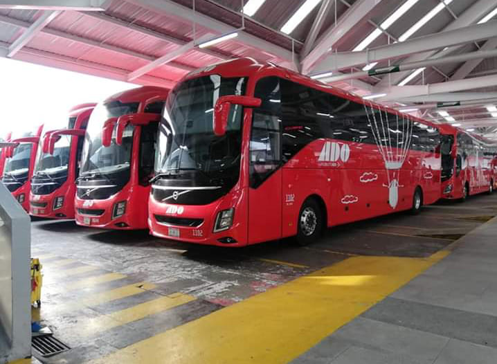 Así luce un conjunto de unidades de Mobility ADO