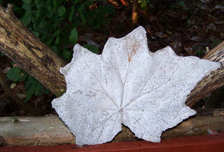 gardens@duke: Class preview: Create stone leaves or planters