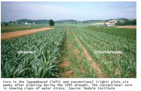 Thirty-five Water Conservation Methods for Agriculture, Farming, and ...