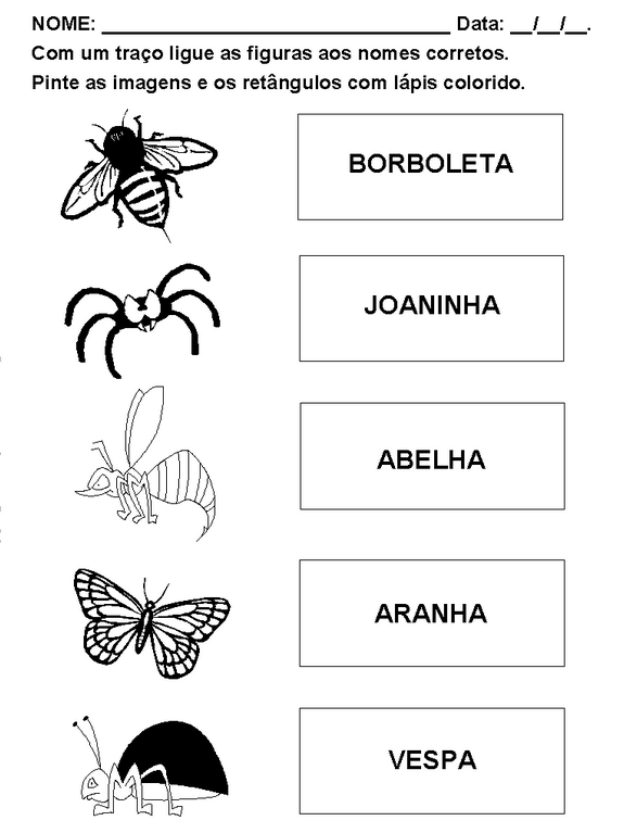 Baú da Web: Desenhos infantil de insetos para colorir