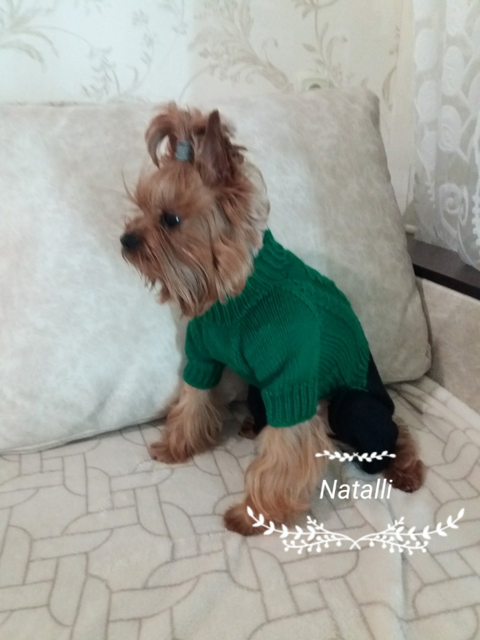 handmade dog clothes, Pet Clothing, Dog Clothes, Small dogs clothes ...