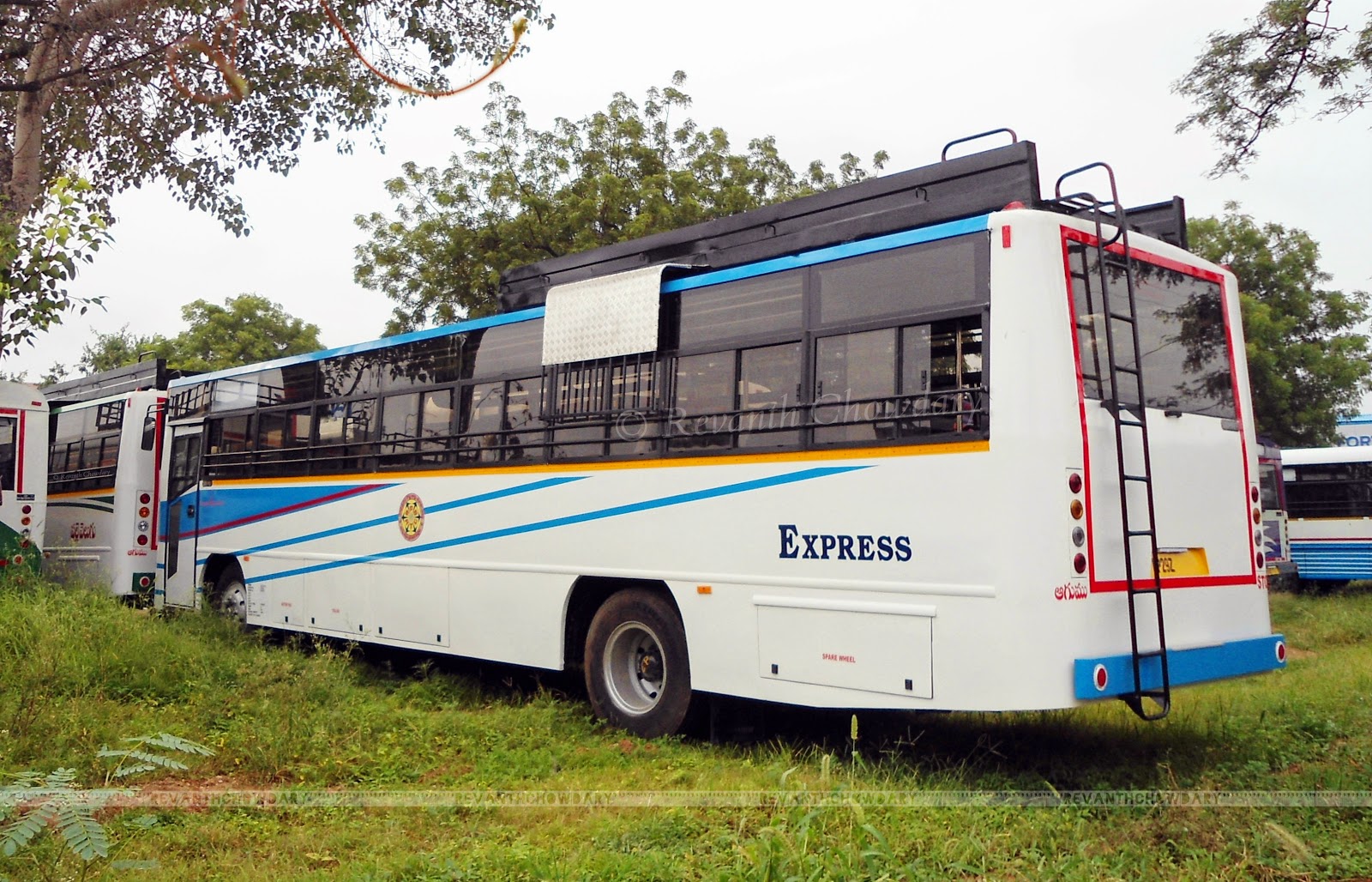 LOVE of Z: New Proto EXPRESS Buses