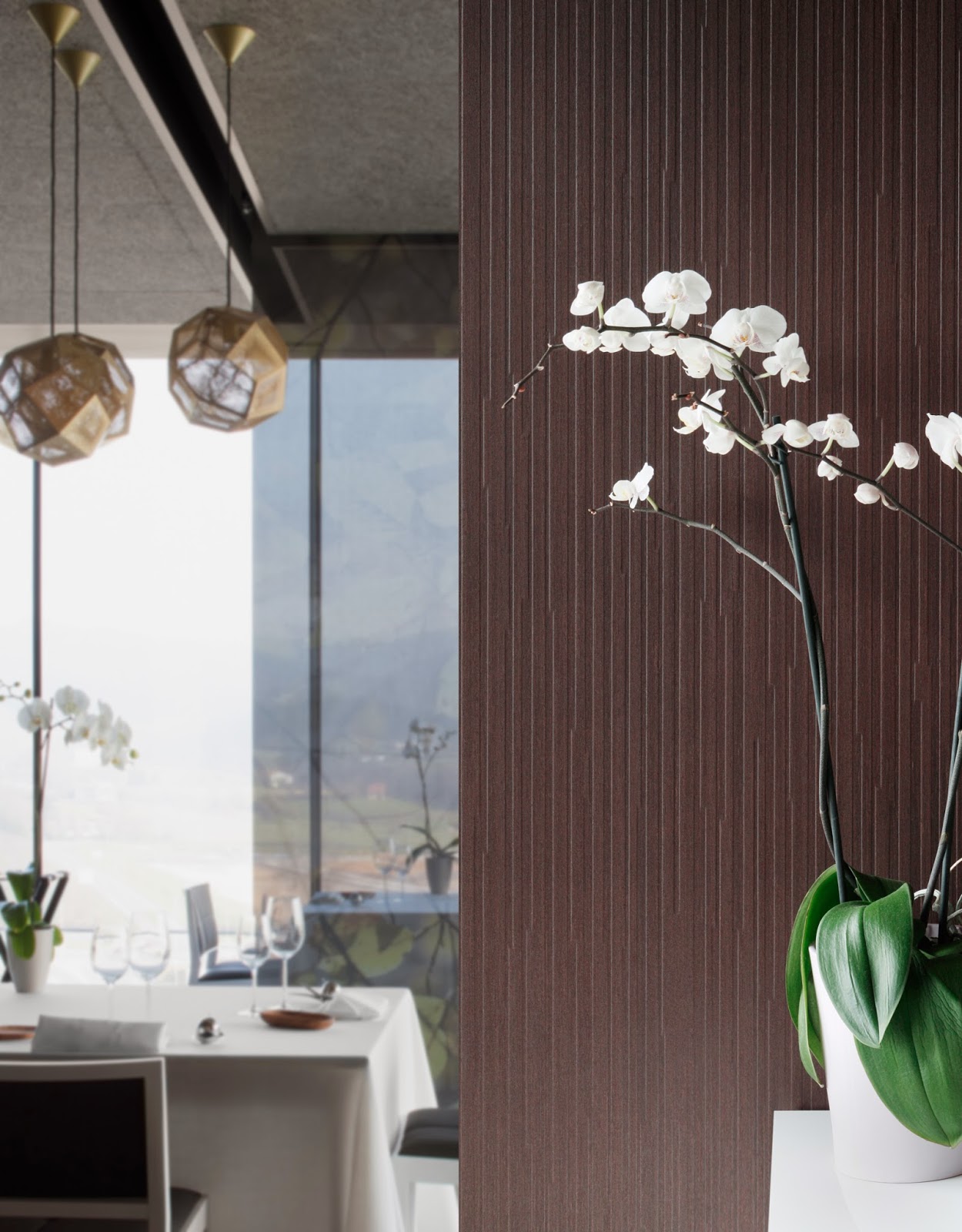 Marzua: Formica Group presenta su nueva gama Ligna® de laminados de ...