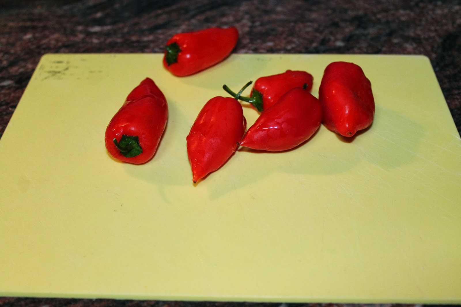 Mis Recetas: Mini paprikas rellenos