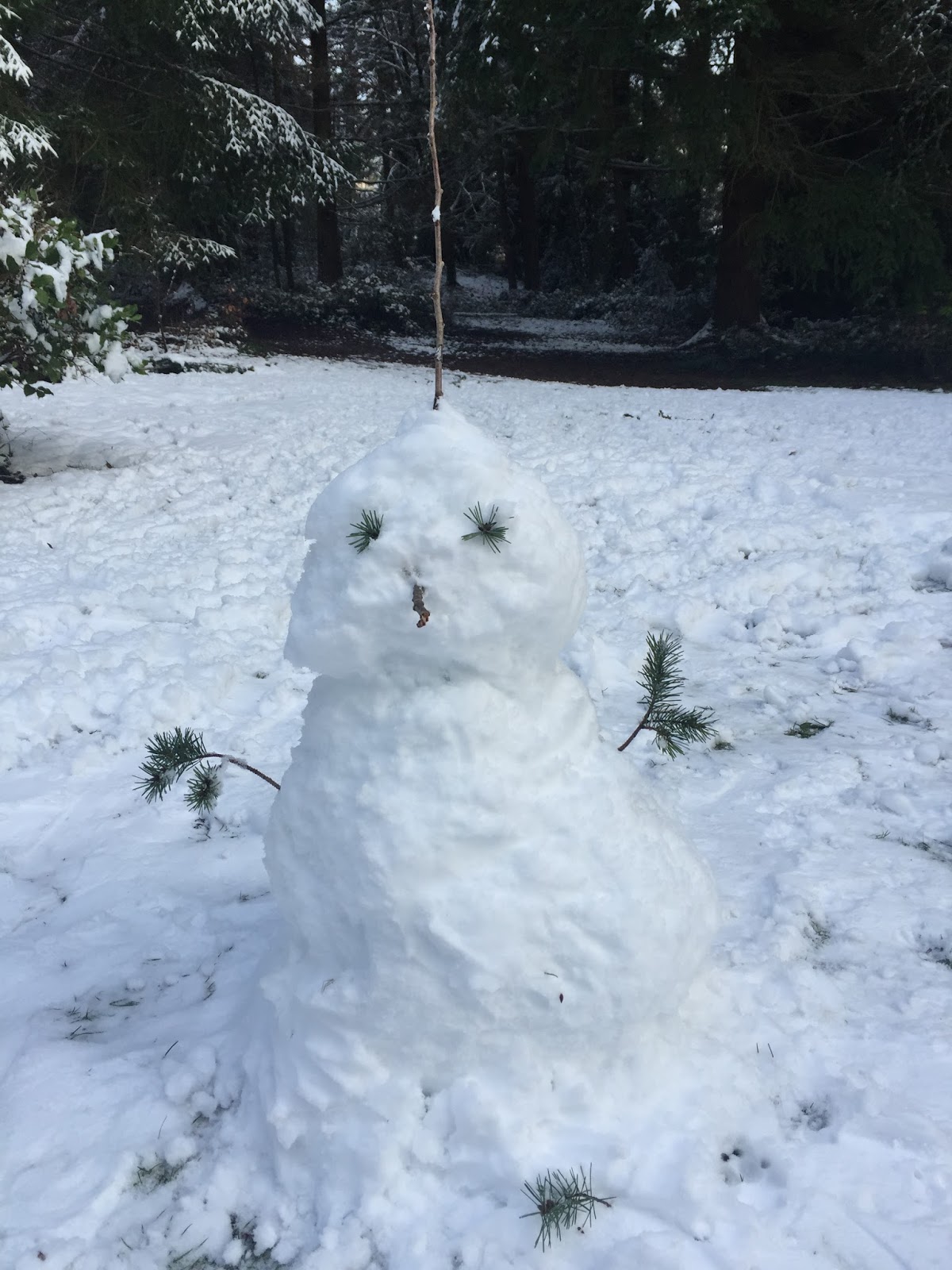 Shoreline Area News: Snowman in Northcrest Park
