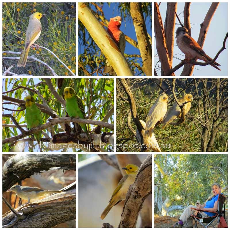 Life Images by Jill: Mount Augustus walk trails, Pilbara, Western Australia