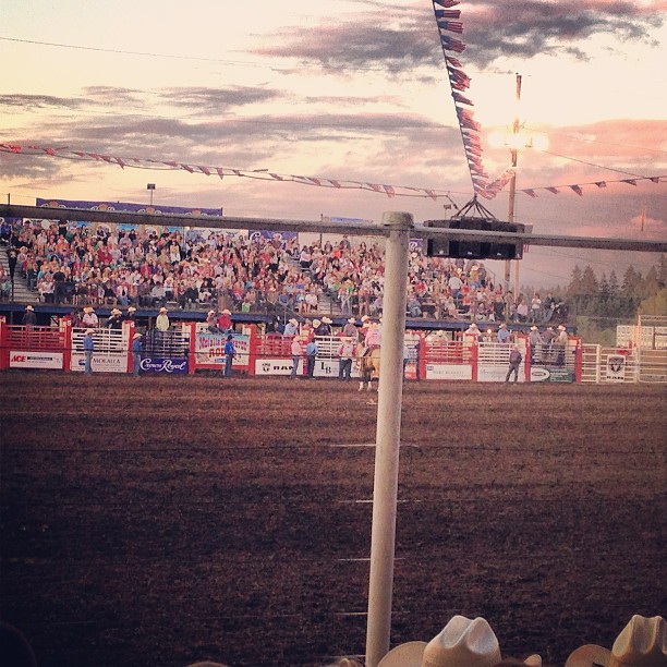 Independence Day Recap (pictures galore) | From Ashley to Awesome