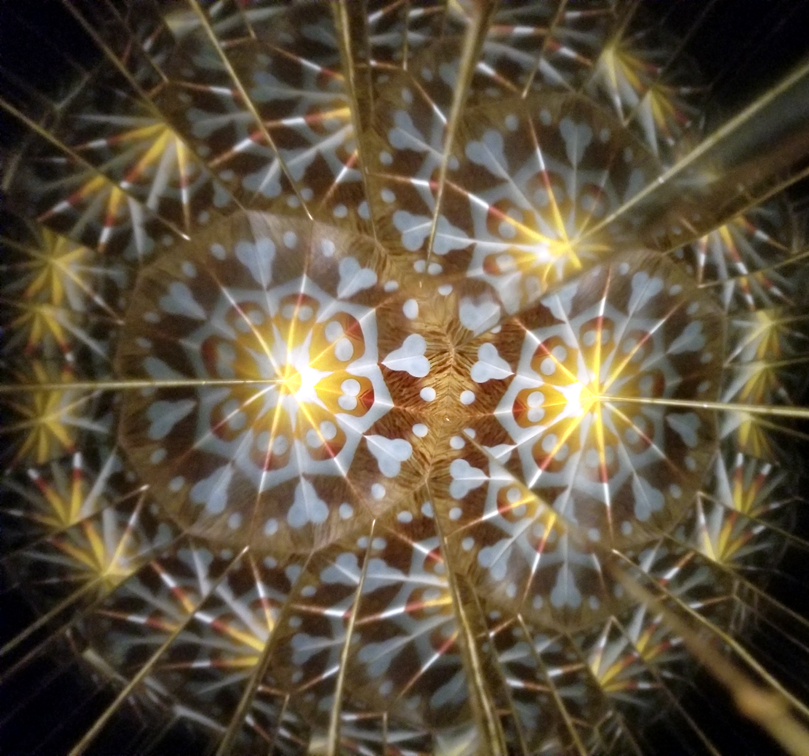 Transparent to Neutrinos: Kaleidoscope Fun