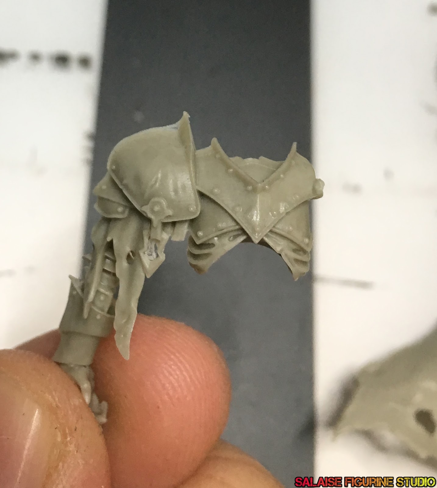 [Review] Wraith, black crow miniature.