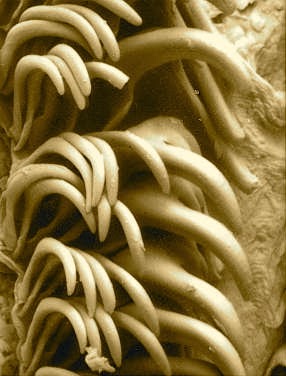 A Year of Being Here: Meredith Stricker: "The End of the World"