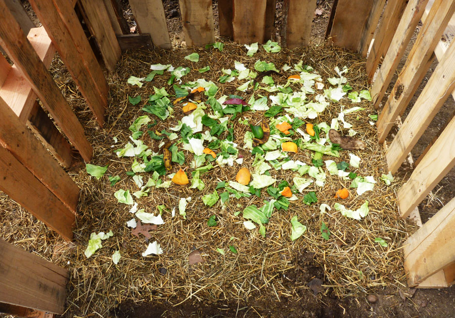 7 Thunders Ranch: "Compost City" - How to compost