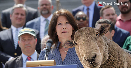 Political Clown Parade: We The Sheeple