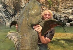 Goonch Catfish Record