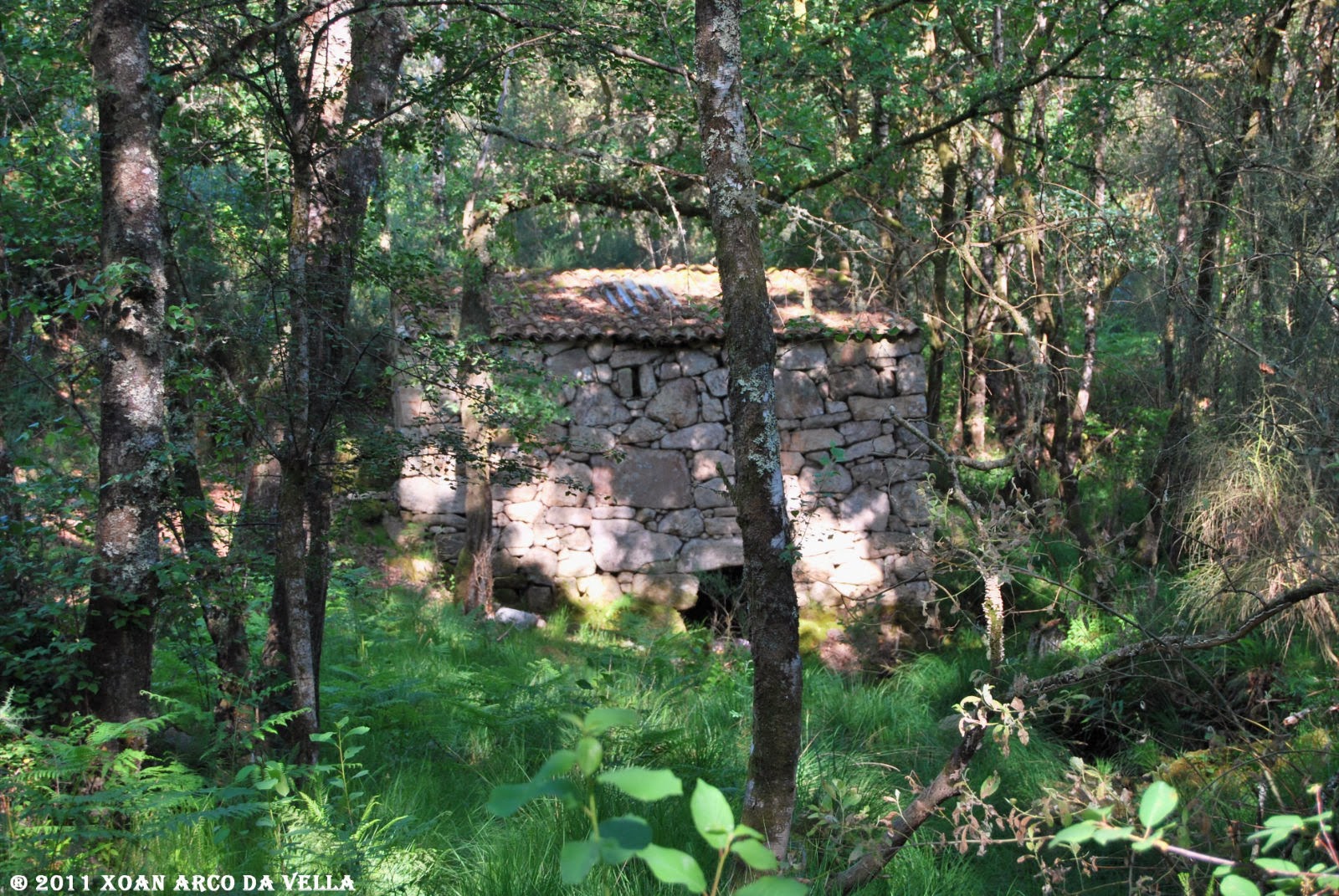 XOAN ARCO DA VELLA: MUIÑOS DA VALGADA - PONTE CALDELAS