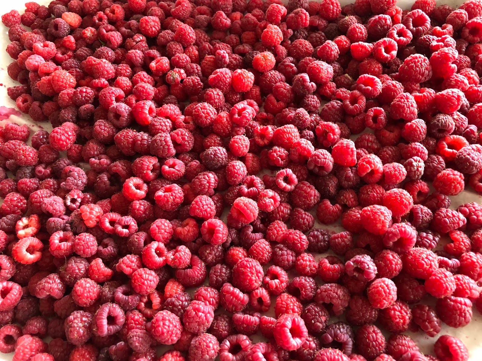 Chef Dez on Cooking and Life: How To Make Crabapple Raspberry Liqueur ...