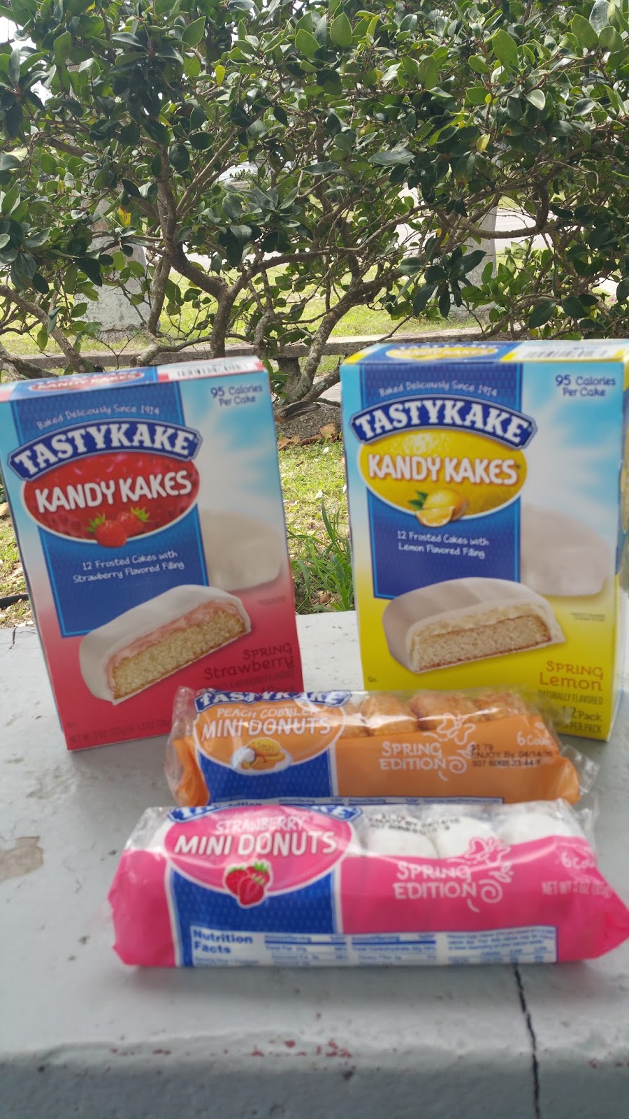 The ABCD Diaries: Tastykake Limited Edition Spring Treats!