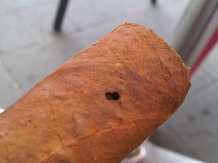 Cigarros Habanos: Lasioderma Serricorne o el Escarabajo del Tabaco