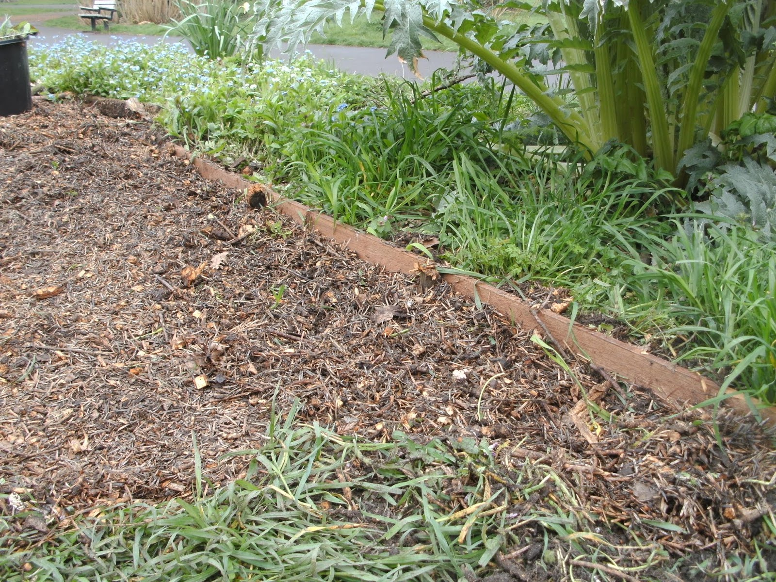 Friends of Mayow Park: Path edging and seed sowing
