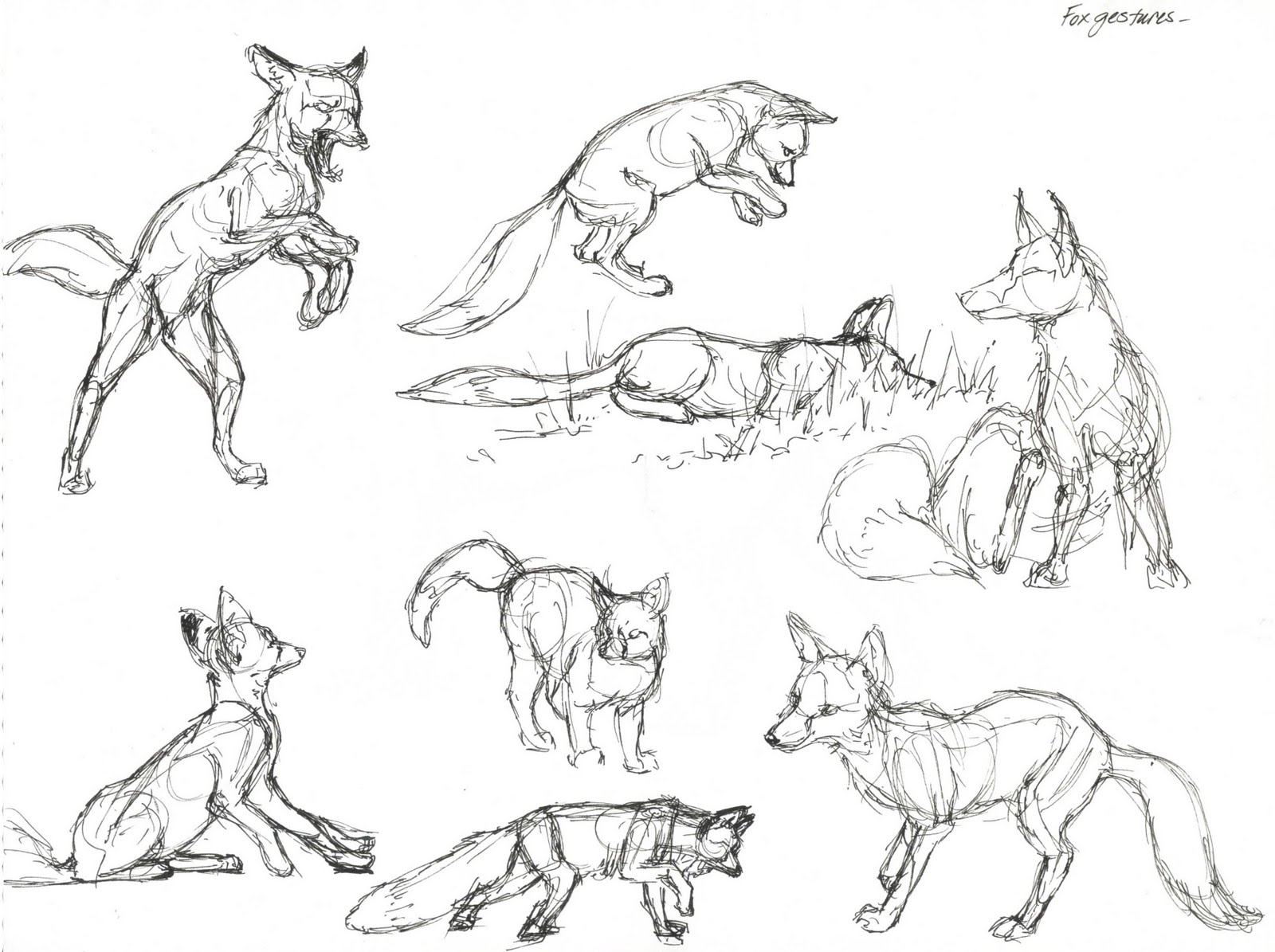 Art Kimistry: More Animal Drawings and Stuff