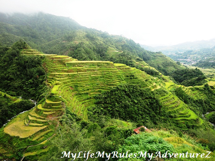 MyLifeMyRulesMyAdventureZ: Banaue View Point - Philippines
