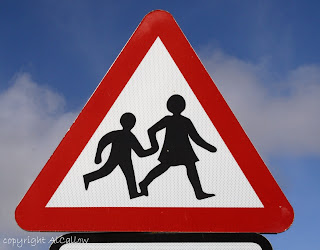 A Kingston-Lynch Photography Blog: TAOP Real and implied triangles.