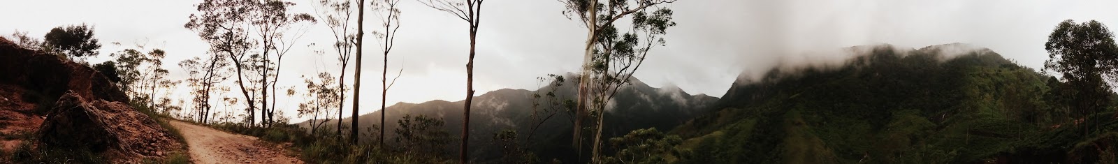 ලින්කන්ගෙ වෙබ් පිටුව: ඔහිය සිට යකාගේ පඩිපෙල පසුකර බඹරකන්ද දියඇල්ලට ...