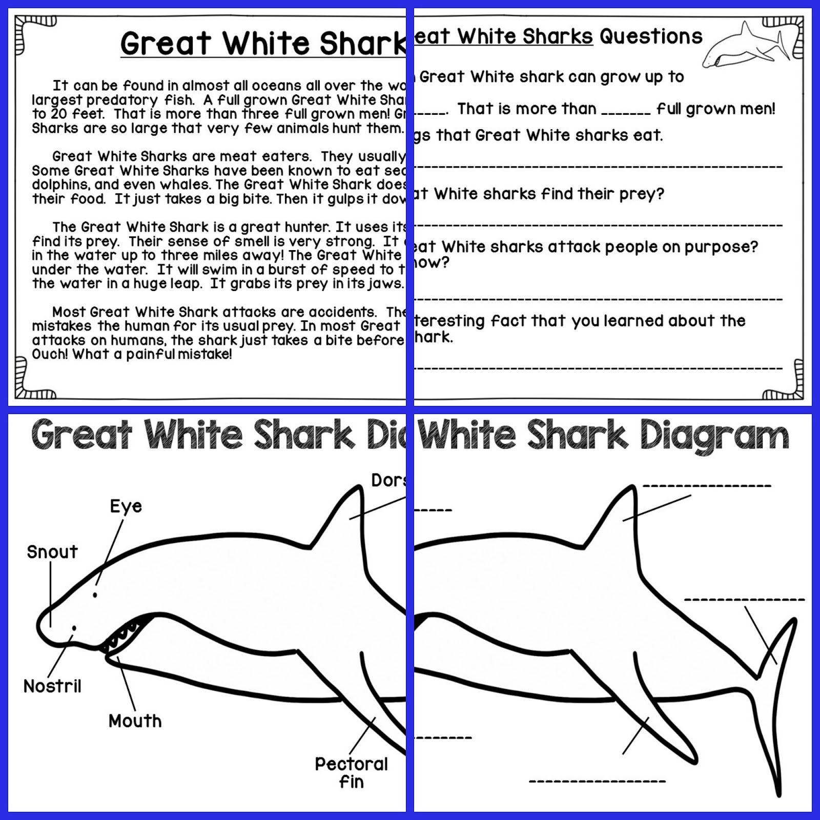 The Fabulous Life Of An Elementary Teacher Shark Week Blog Hop {with