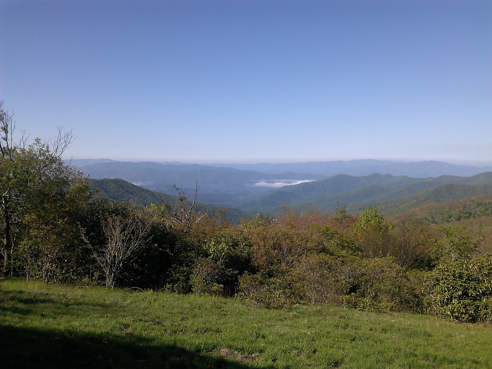 Hikes: Stinkin' Jenkins (Lead Cove - Bote Mountain - Jenkins Ridge ...